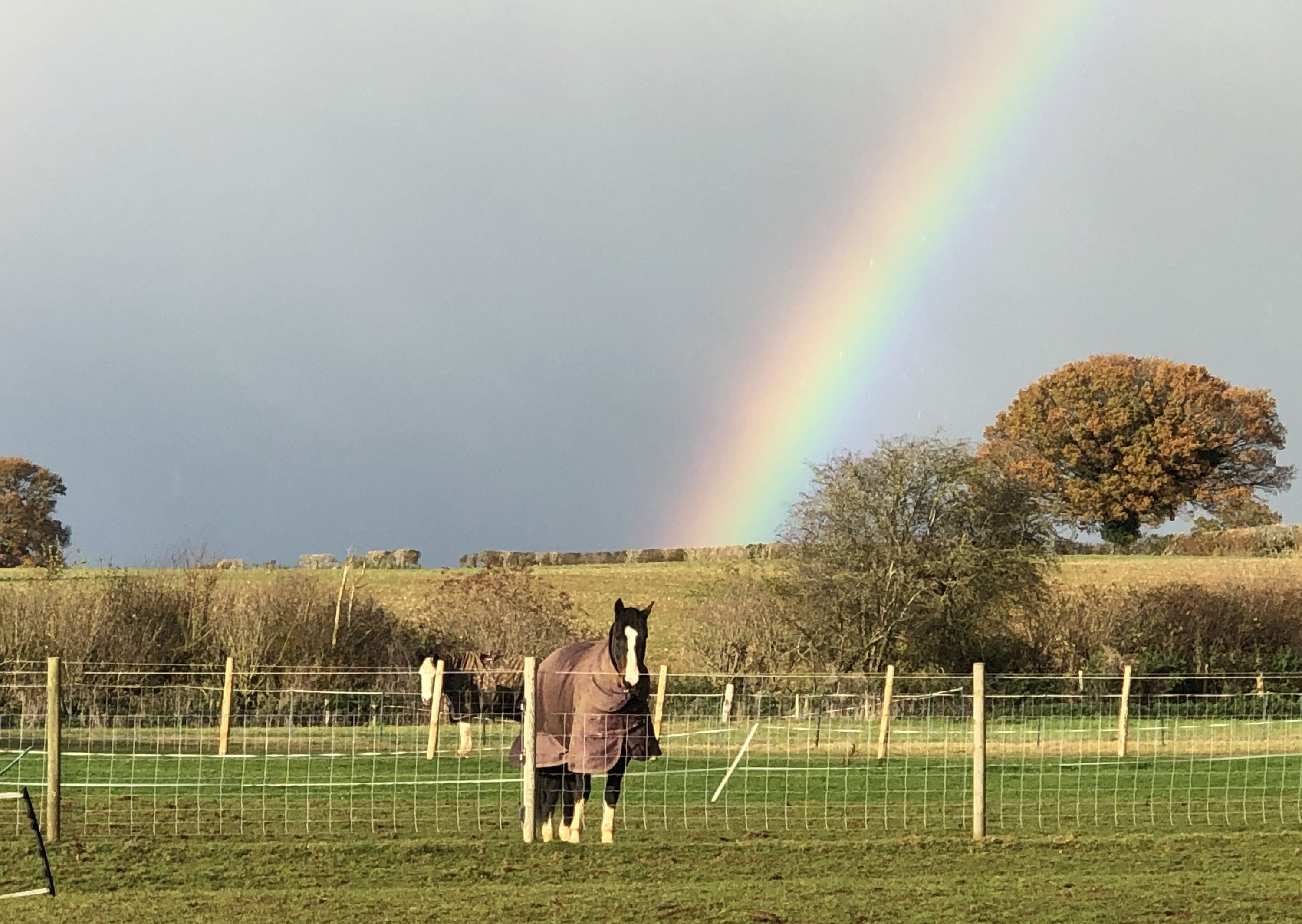 Shire Agricultural & Fencing Supplies